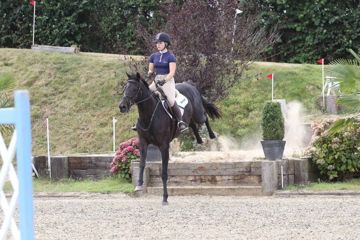 Second career - Racehorse Relief